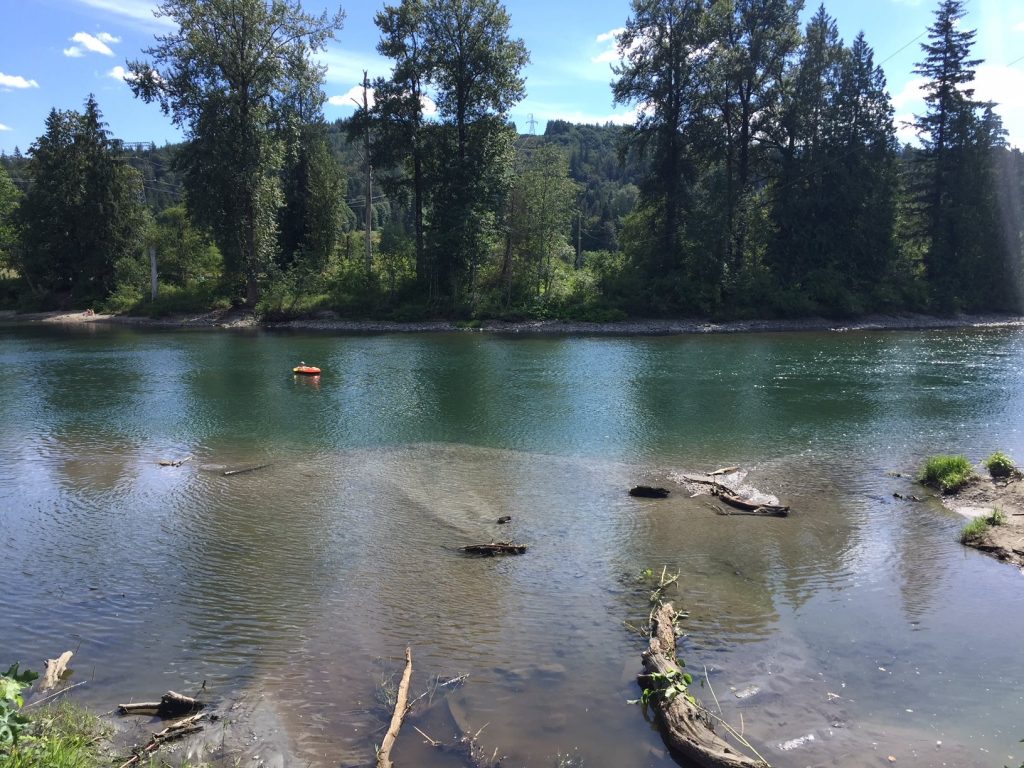 Fall City - Lisa Pickert